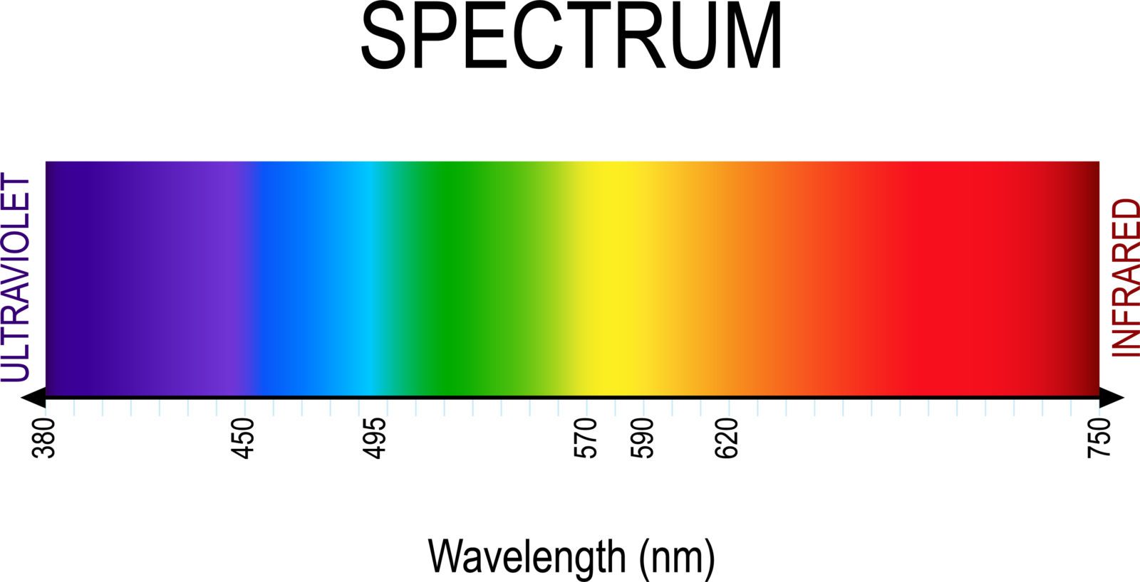 Fact Sheets – RxSafety